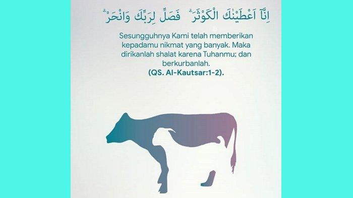 Idul Adha 2019: Mana yang Benar, Kurban Dulu Atau Aqiqah Dulu? Lengkap ...