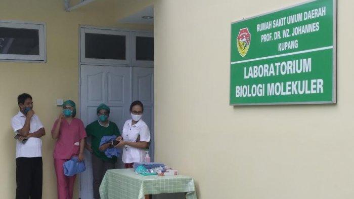 Pertama di NTT, 16 Laboran Siap Operasikan Laboratorium qPCR Pool Test ...