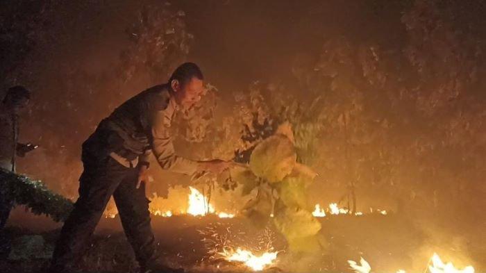 Kebakaran Lahan di Mahekelan Sikka, Polisi Gunakan Ranting Pohon untuk ...