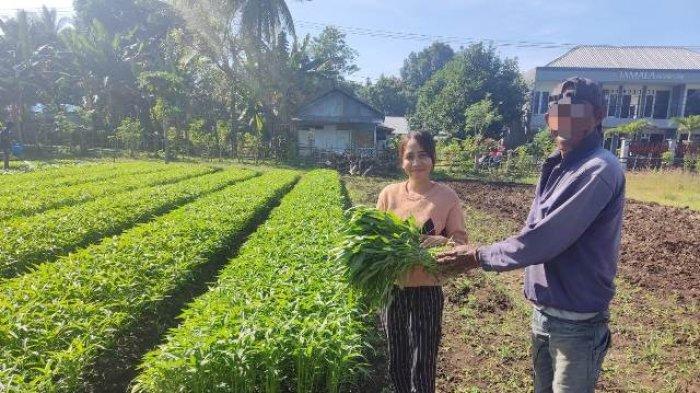 Tingkatkan Produktivitas, Lapas Kalabahi Lakukan Pembinaan Kemandirian ...