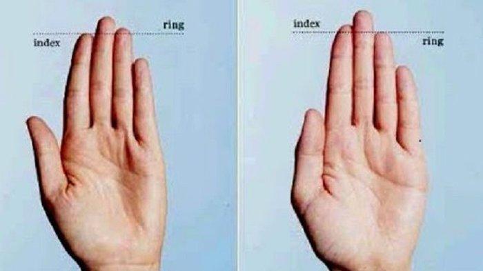 Lihat Jari Tangan Kamu, Apakah Jari Manis Lebih Panjang dari Jari ...