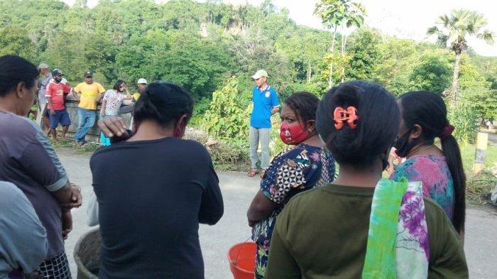 Di Lembata - NTT, Warga Lewoleba Barat Tanam Palm Amankan Sempadan ...