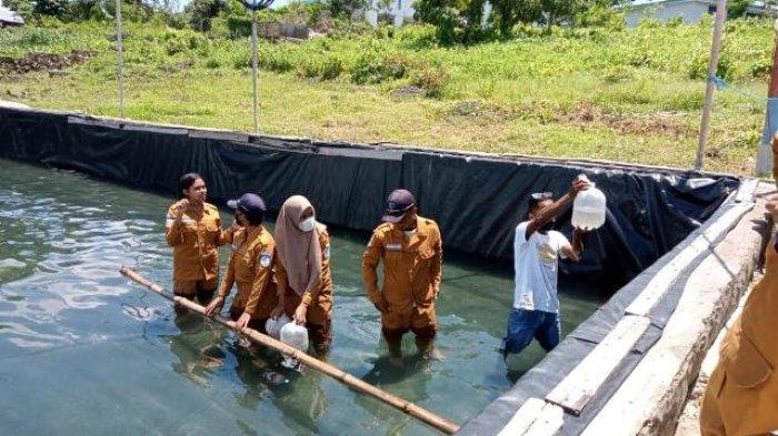 Politeknik Kelautan dan Perikanan Kupang Hadirkan SDM Unggul Bidang ...