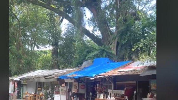 Video Viral TikTok, Mampir Makan di Taman Cibeunying Utara Kota Bandung ...