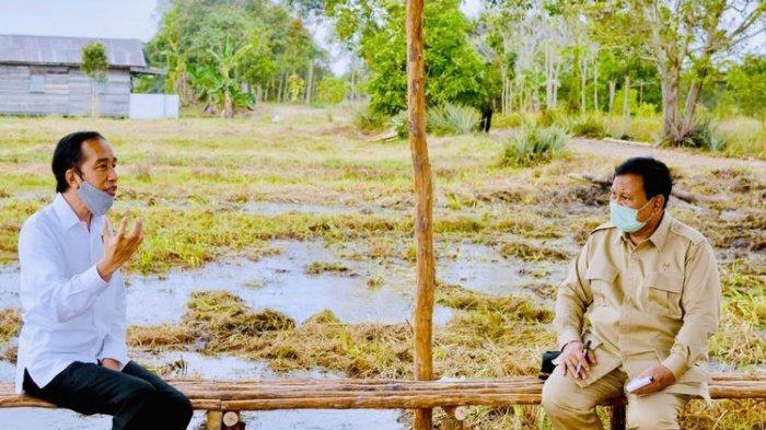 Hasil Survei Charta Politika Sebut Prabowo Menteri Berkinerja Terbaik ... Hasil Survei Charta Politika Sebut Prabowo Menteri Berkinerja Terbaik ...