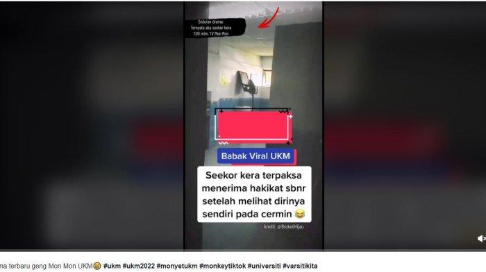 Video Viral TikTok, Begini Aksi Monyet Nakal di Sebuah Toilet Umum, Oh ...