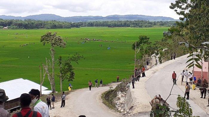Lokasi Food Estate Tempat Kunjungan Presiden Joko Widodo di Sumba ...