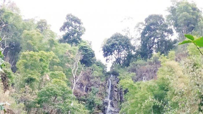 Desa Colol - Manggarai Timur, NTT Ditetapkan Jadi Desa Wisata Kopi, Ini ...