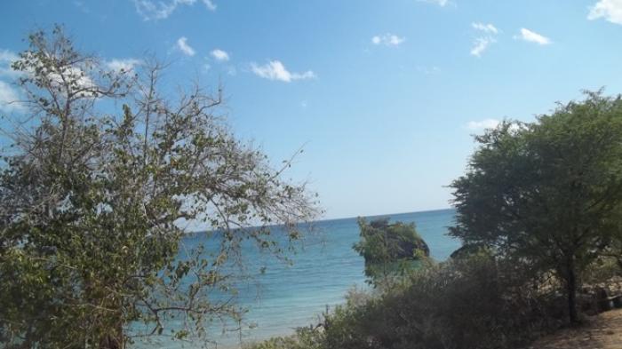 Selamatkan Pesisir Pantai Nembrala Rote - Pos-kupang.com