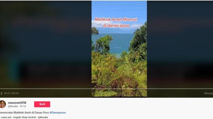 Berita Viral Makhluk Aneh Muncul di Danau Warganet Sebut Sebagai ...