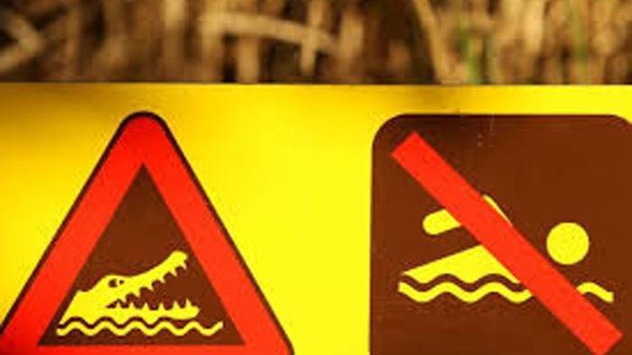 Hilang Usai Lompat di Sungai Pasaman Barat, Pelajar Diduga Dimangsa ...