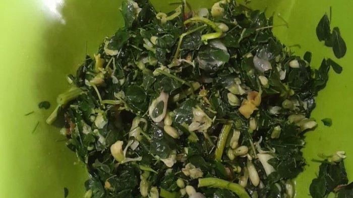 Kuliner NTT, Info Harga Sayur Marungga dan Bunga Kelor, Tumis, Bantu ...