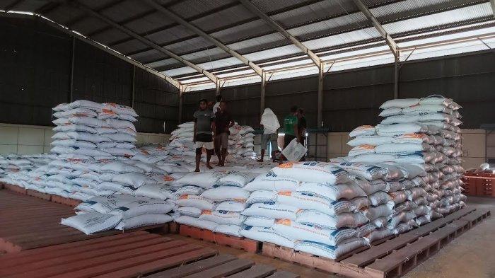 Bongkar 4.500 Ton Beras Vietnam, Total 11 Ribu Ton Pasokan Beras di ...