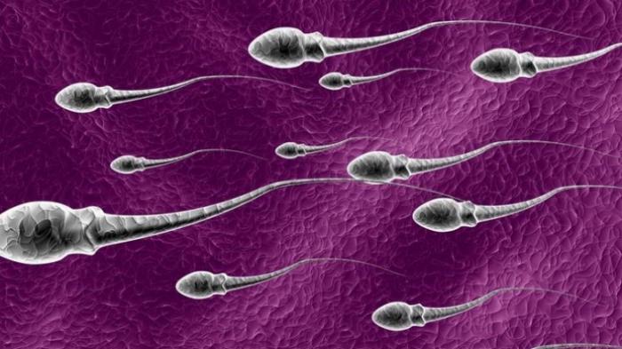 Idealnya, Sperma Harus Keluar Berapa Kali dalam Seminggu? Simak INFO ...