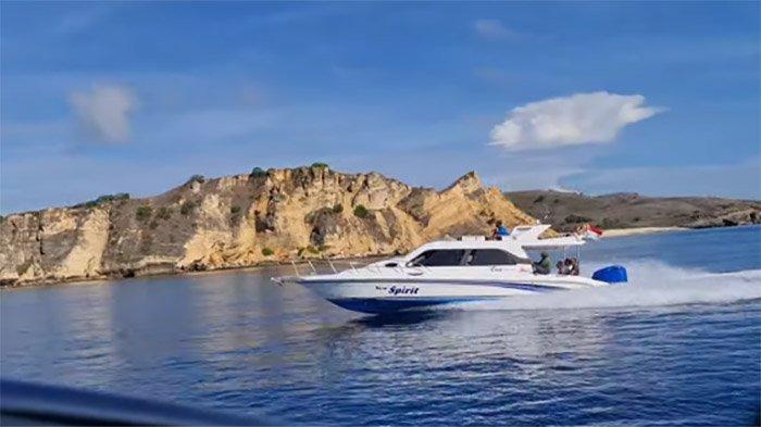 Wisata Labuan Bajo, Sewa Speed Boat Seharian dan Daftar Tujuan ...