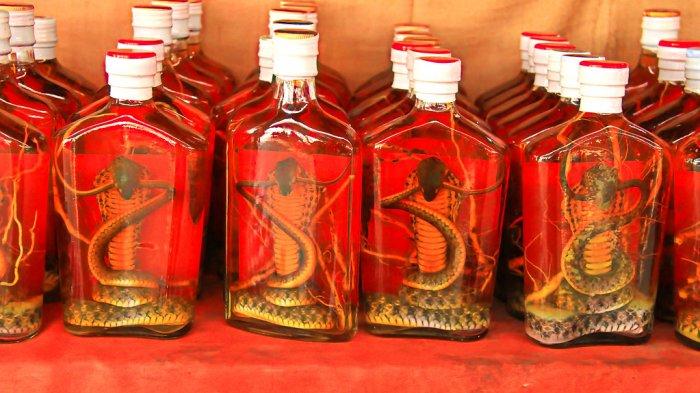 Hi Guys, Wajib Tahu ! 5 Minuman Ilegal dan Mematikan di Dunia - Pos ...