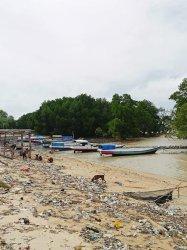 Sampah di Pesisir Kota Kupang, Ketua Walhi: Dampak Terintegrasi Model ...