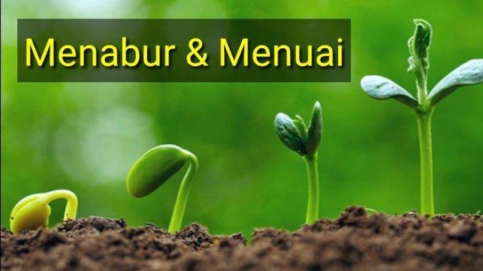 Renungan Harian Kristen Jumat 20 Oktober 2023, Menabur dan Menuai - Pos ...