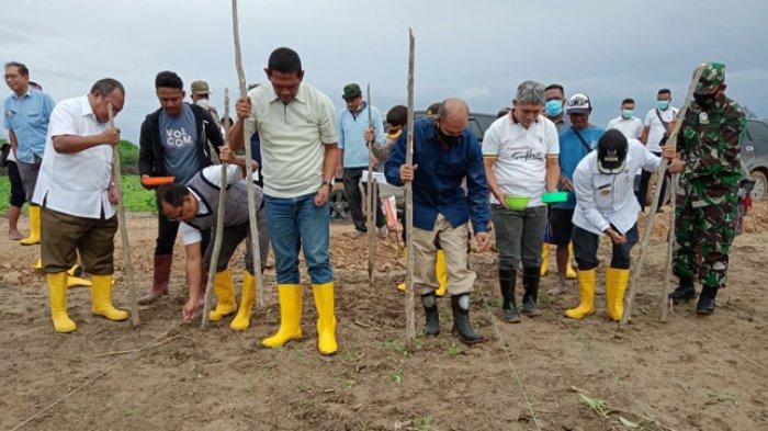 Tanam Jagung Simbolis di Bena TTS, Gubernur NTT : Kerja Harus Berdasarkan Data Riil - Pos-kupang.com
