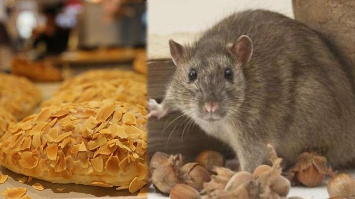 VIRAL Bakso Daging Tikus, Kapolres Pastikan Hoax, Begini Ungkapan Sang ...