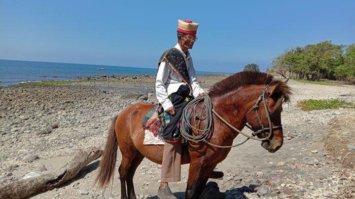 TRIBUN WIKI: Pantai dan Padang Savana Mausui Manggarai Timur Tawarkan ...