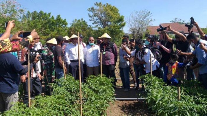 Yance Maring, Petani Sukses di Sikka Terapkan Teknologi Dikunjungi Gubernur NTT - Pos-kupang.com
