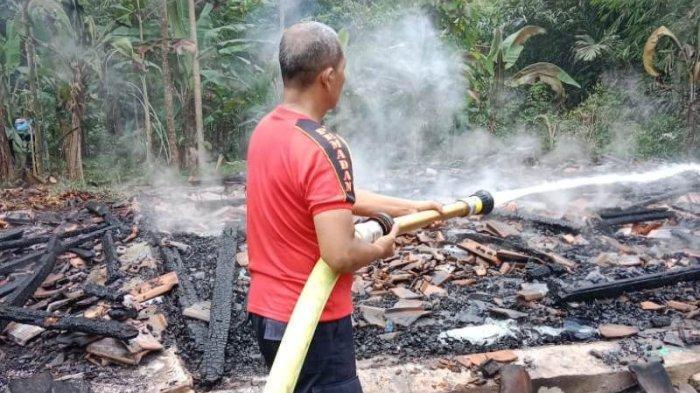 4 Anak Korban Kebakaran Rumah Semi Permanen di Lampung Selatan Selamat ...