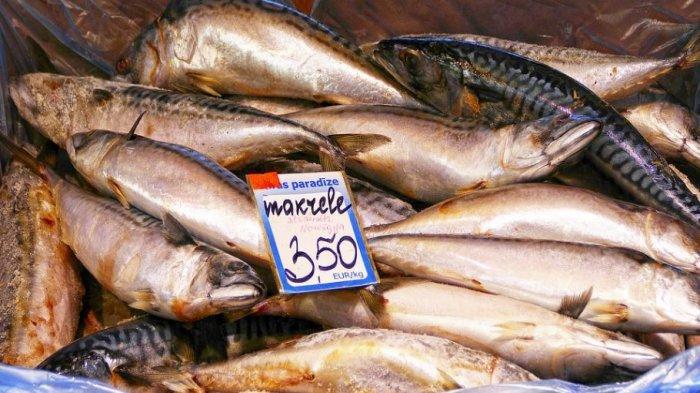 Arti Mimpi Tumpukan Ikan Mati, Simbol Keserakahan - Tribunlampung.co.id