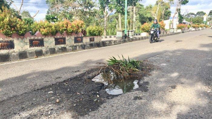 Baru 2 Bulan Diperbaiki, Ruas Jalan Provinsi di Way Mengaku Lampung Barat Kembali Rusak ...