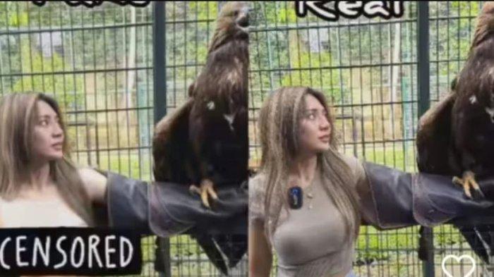 Berlliana Lovell Murka Fotonya Diedit Tanpa Busana, ‘Gak Punya Moral’ - Tribunlampung.co.id