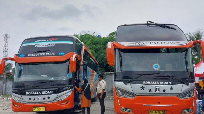 Hari Natal dan Tahun Baru Bus Rosalia Indah Pastikan Tetap Beroperasi ...