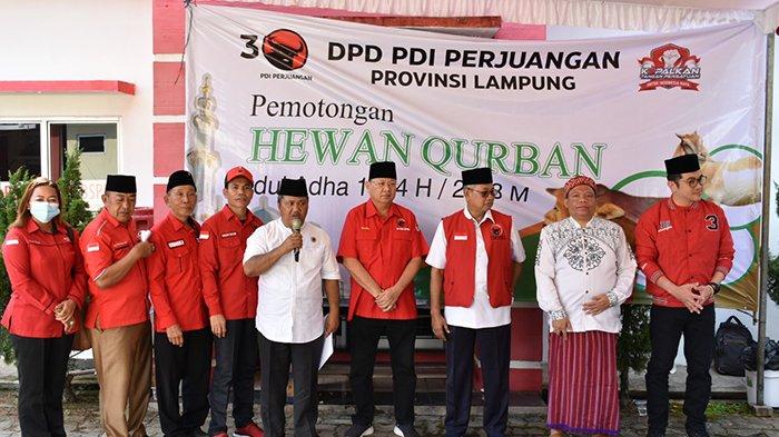 DPD PDIP Provinsi Lampung Kurban 10 Ekor Sapi - Tribunlampung.co.id
