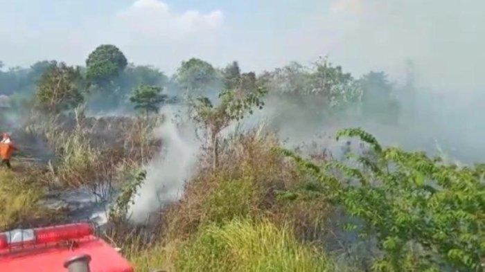 Damkar Tanggamus Siap Terima Instruksi untuk Antisipasi Fenomena El ... Damkar Tanggamus Siap Terima Instruksi untuk Antisipasi Fenomena El ...