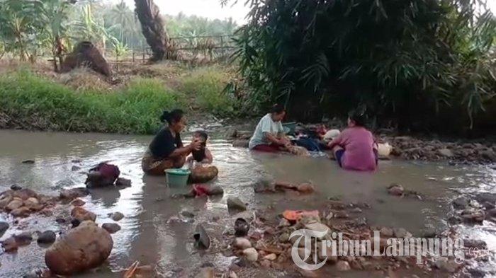 Dilanda Kekeringan, Warga Sidomulyo Lampung Selatan Manfaatkan Sungai Keruh - Tribunlampung.co.id