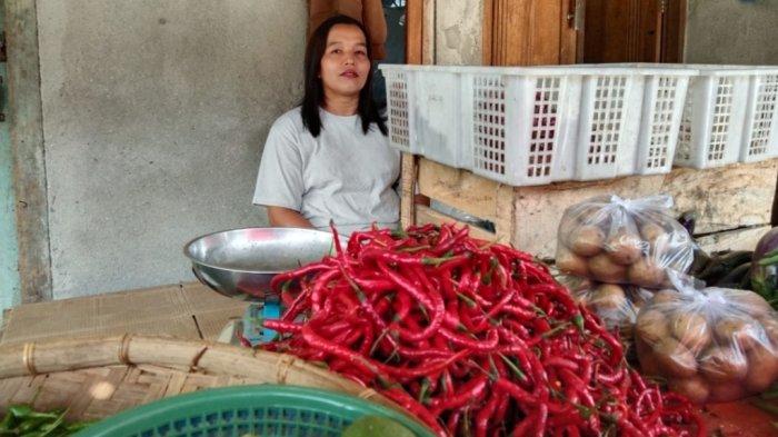 Harga Telur dan Cabai di Pesisir Barat Lampung Naik Jelang Idul Adha - Tribunlampung.co.id