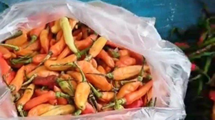 Harga Cabai Setan Meroket di Lampung Selatan, Kini Rp 60 Ribu per Kg - Tribunlampung.co.id