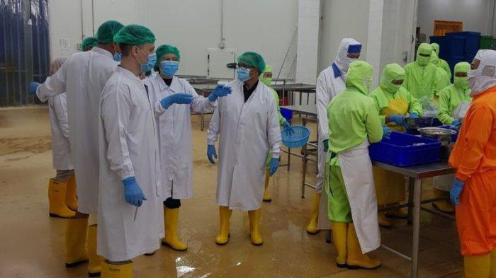 Investor Rusia Kunjungi Cold Storage Pertambakan Udang di Pesawaran ...