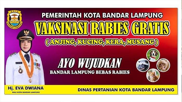 Catat, Jadwal Vaksinasi Rabies Hewan Peliharaan Gratis di Bandar ...