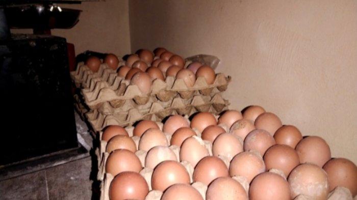 Harga Telur Ayam di Pesisir Barat Lampung Naik jelang Nataru, Kini Rp 57 Ribu per Karpet ...