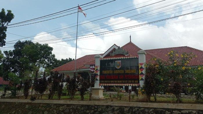 Perkebunan dan Peternakan di Semaka Lampung Aman dari Dampak Banjir ...