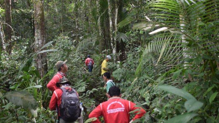 Kebun Raya Liwa Lampung Barat Inventarisir Koleksi Tumbuhan Kaki Gunung ...