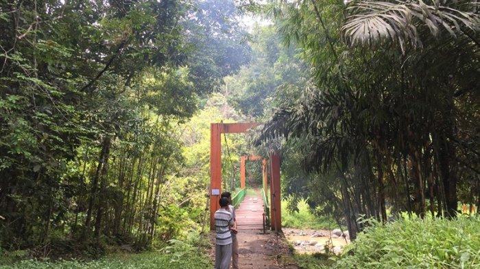 Pengunjung Keluhkan Objek Wisata Alam Kubu Perahu TNBBS Kurang Terurus ...