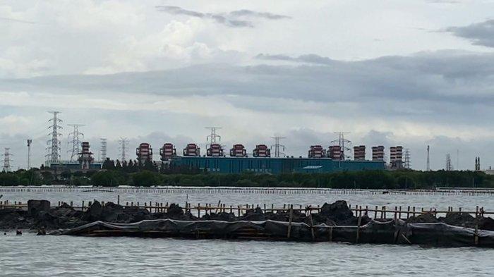 Menteri KKP Minta Pembongkaran Pagar Laut di Tangerang Hentikan - Tribunlampung.co.id