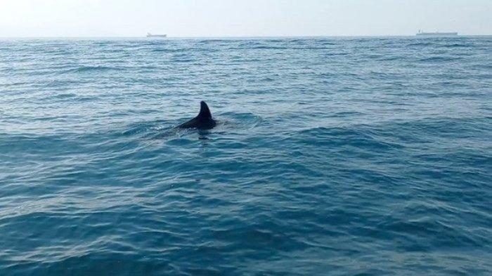 Pekon Kiluan Negeri Tanggamus Masuk 45 Besar Nasional Desa Wisata ...