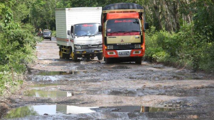 Warga Tanjungsari Gembira Pemkab Lampung Selatan Bakal Bangun Jalan Poros Kertosari ...