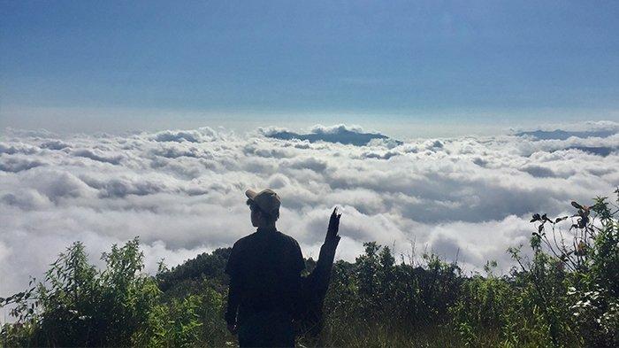 Jelajahi Keindahan Alam Lampung Barat Lewat Pendakian Gunung Seminung ...