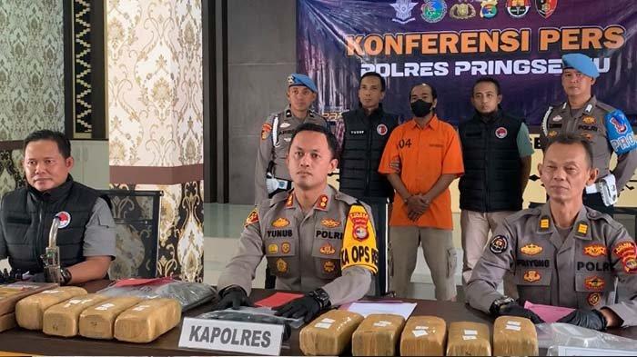 Polres Pringsewu Lampung Ungkap Peredaran Ganja 9 Kg, Pelaku Jaringan Aceh - Tribunlampung.co.id
