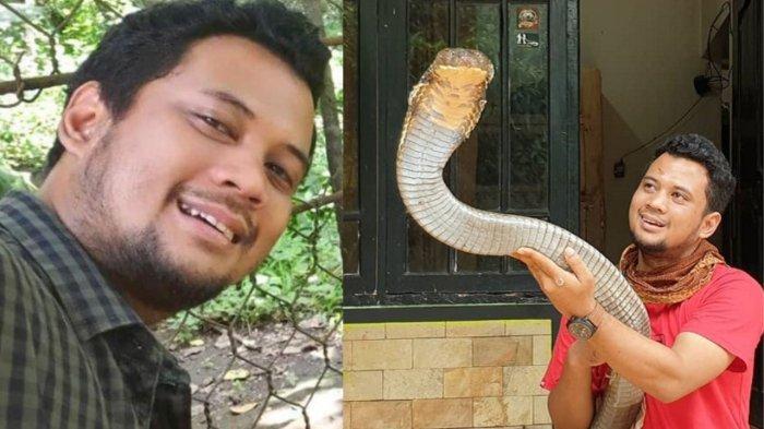 Sahabat Panji Petualang Meninggal karena Digigit Ular King Kobra ...