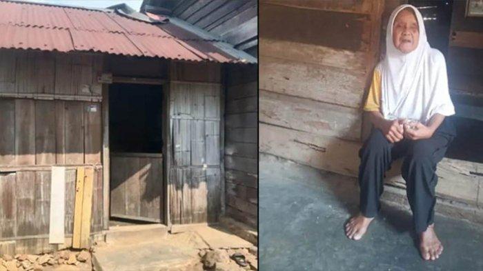 Puluhan Tahun Tinggal di Gubuk Reyot Kalianda, Nenek Saudah Harap Bantuan Bedah Rumah ...