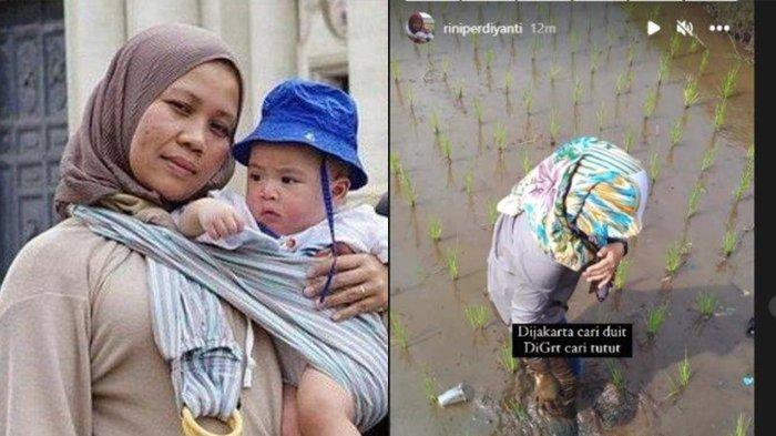 Tak Lagi Asuh Rayyanza, Sus Rini Kini Urus Sawah di Kampung Halaman - Tribunlampung.co.id